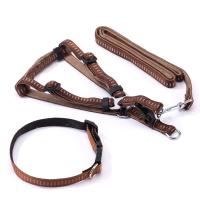 China Adjustable Dog Cat Leashes And Harnesses , Dirty Resistant Braided Rope Dog Collar for sale