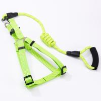 China PP S-L Light Weight Adjustable Pet Collar Leash For Dogs for sale