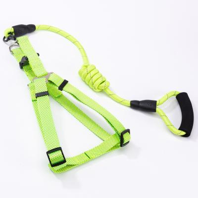China PP S-L Light Weight Adjustable Pet Collar Leash For Dogs for sale