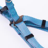 China PP S-L Light Weight Adjustable Pet Collar Leash For Dogs for sale