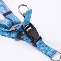 China PP S-L Light Weight Adjustable Pet Collar Leash For Dogs for sale