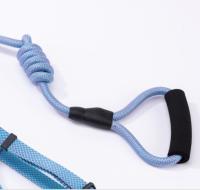China PP S-L Light Weight Adjustable Pet Collar Leash For Dogs for sale