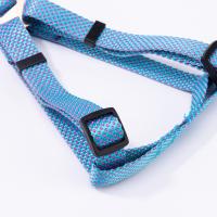 China PP S-L Light Weight Adjustable Pet Collar Leash For Dogs for sale