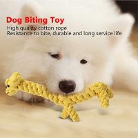 China Novelty Durable Dog Interactive Toys Biting Soft Unbreakable Tough Chewer Dog Toys for sale