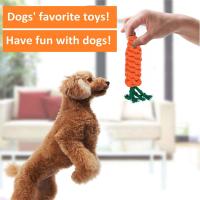 China Braided Teeth Cleaning Durable Dog Toys , Small Dogs Dog Teething Toys for sale