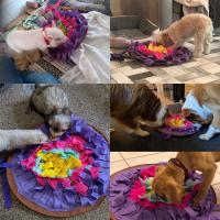 China Washable Training Dog Interactive Toys Feeding Afp Dog Sniffing Mat for sale
