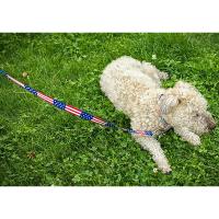 China American Flag Pattern Bark Lover Adjustable Harness with For Dogs and Cats Daily Training for sale