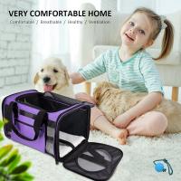 China Breathable Oxford Multi Functional Sport Bags 11 Inch Dog Carrier Cage for sale