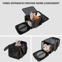 China Poylester Travel Multi Functional Sport Bags For Chihuahua Airline Approved for sale
