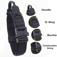 China Nylon Handle Pet Collar Leash Adjustable Bungee Custom Design for sale