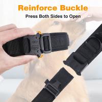 China Nylon Handle Pet Collar Leash Adjustable Bungee Custom Design for sale