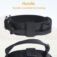 China Nylon Handle Pet Collar Leash Adjustable Bungee Custom Design for sale