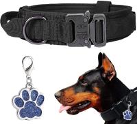 China Nylon Handle Pet Collar Leash Adjustable Bungee Custom Design for sale
