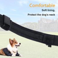 China Nylon Handle Pet Collar Leash Adjustable Bungee Custom Design for sale