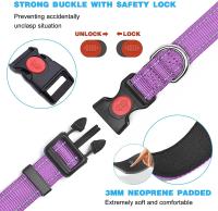 China Breathable Nylon Small Pet Collar Leash Adjustable For Outdoor for sale