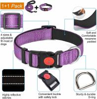 China Breathable Nylon Small Pet Collar Leash Adjustable For Outdoor for sale