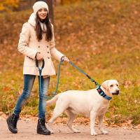 China Breathable Nylon Small Pet Collar Leash Adjustable For Outdoor for sale