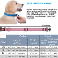 China Strong Rope Dog Training Leashes , AJ Pink 2m Dog Lead eco friendly for sale