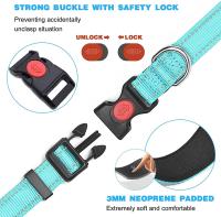 China Braided Climbing Pet Collar Leash Neoprene Padded Handle for sale