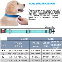 China Braided Climbing Pet Collar Leash Neoprene Padded Handle for sale