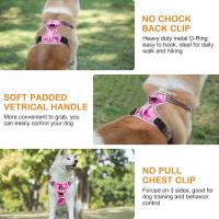 China Hand Pull Control Dog Harness Reflective Breathable Mesh Adjustable Vest Dog Walking Harness for sale
