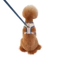 China Personalized Hot Selling Comfortable Meash Breathable Fabric Quality Cute Dog Harness for sale
