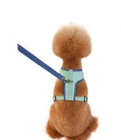 China Personalized Hot Selling Comfortable Meash Breathable Fabric Quality Cute Dog Harness for sale
