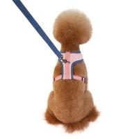 China Personalized Hot Selling Comfortable Meash Breathable Fabric Quality Cute Dog Harness for sale