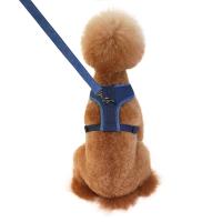 China Personalized Hot Selling Comfortable Meash Breathable Fabric Quality Cute Dog Harness for sale