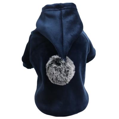 China Cotton Outdoor Pet Collar Leash Colored Windproof Dog Clothes for sale