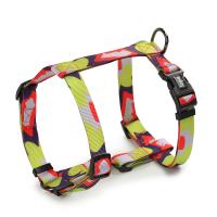 China No Pulling Pet Collar Leash Sustainable Nylon Dog Harness for sale