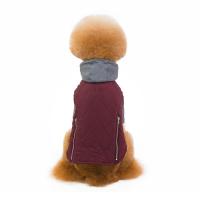 China Polyester Anxiety Jacket For Dogs , Winter Zipper Sport Dog Hoody for sale