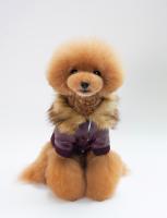 China Anxiety Waterproof Dog Jacket , S-L Fleece Cool Warm Dog Coats for sale