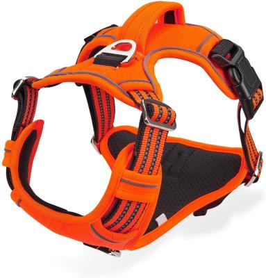 China Neoprene Padded Nude Dog Vest Harness , No Pull L Dog Hunting Vest for sale