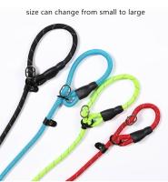 China Soft Handle Nylon Long Rope Customized Dog Leash Adjustable Running Dog Leash Slip for sale