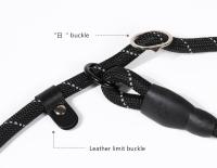 China Soft Handle Nylon Long Rope Customized Dog Leash Adjustable Running Dog Leash Slip for sale