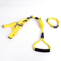 China OEM Customized Small Medium Size Puppy  Adjustable Nylon Dog Collar Leash Harness Set for sale