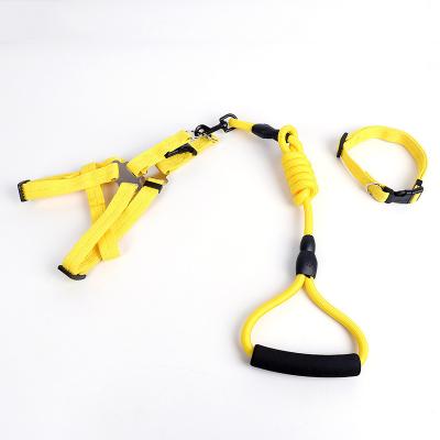 China OEM Customized Small Medium Size Puppy  Adjustable Nylon Dog Collar Leash Harness Set for sale