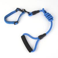 China OEM Customized Small Medium Size Puppy  Adjustable Nylon Dog Collar Leash Harness Set for sale