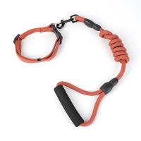 China OEM Customized Small Medium Size Puppy  Adjustable Nylon Dog Collar Leash Harness Set for sale