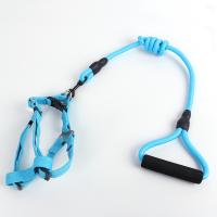 China OEM Customized Small Medium Size Puppy  Adjustable Nylon Dog Collar Leash Harness Set for sale