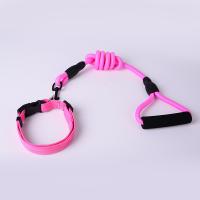 China OEM Customized Small Medium Size Puppy  Adjustable Nylon Dog Collar Leash Harness Set for sale