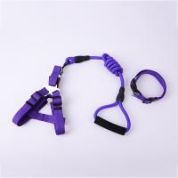 China OEM Customized Small Medium Size Puppy  Adjustable Nylon Dog Collar Leash Harness Set for sale