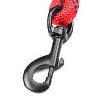 China 2021 Upgreate Nylon Braided Reflective Rope Neoprene Padded Two Handles Dog Leash for sale
