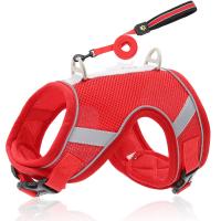 China 2021 Dog Cat Brand New Quality Breathable Classic Reflective Mesh Cat Vest Harness for sale