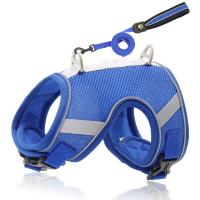 China 2021 Dog Cat Brand New Quality Breathable Classic Reflective Mesh Cat Vest Harness for sale