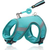 China 2021 Dog Cat Brand New Quality Breathable Classic Reflective Mesh Cat Vest Harness for sale