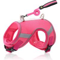 China 2021 Dog Cat Brand New Quality Breathable Classic Reflective Mesh Cat Vest Harness for sale