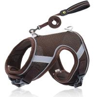 China 2021 Dog Cat Brand New Quality Breathable Classic Reflective Mesh Cat Vest Harness for sale