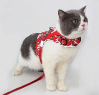 China Custom Print Safety Reflective Strip Waistcoat Strong Durable No Pull Vest Dog Harness for sale